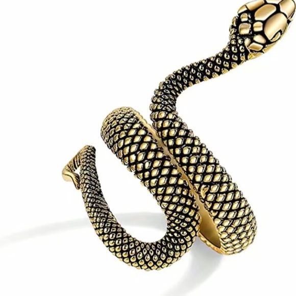 Taylor Swift | Jewelry | Taylor Swift Gold Snake Ring Reputation Album ...
